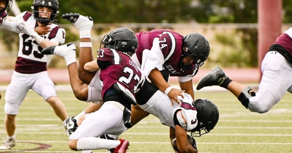 Lions manage changes as spring season ends – Post Register