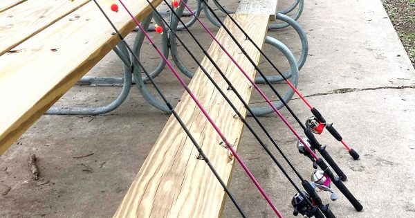 Fishing classes set for State Park – Post Register