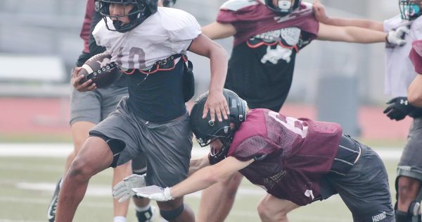 New-look Lions to give preview of things to come – Post Register