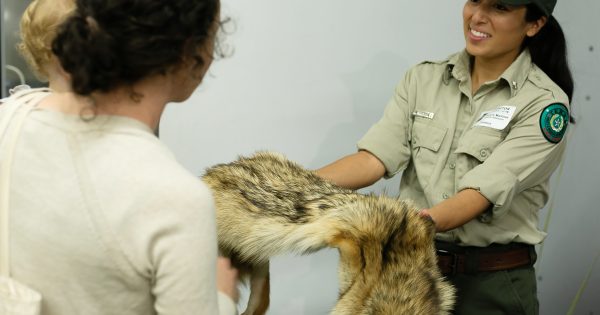 Botkin Selected as New Park Superintendent for Lockhart State Park ...