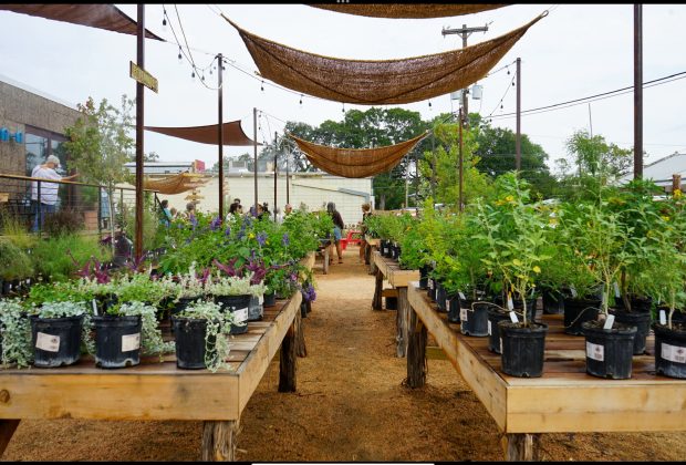 Post Register – Lockhart Post Register Newspaper