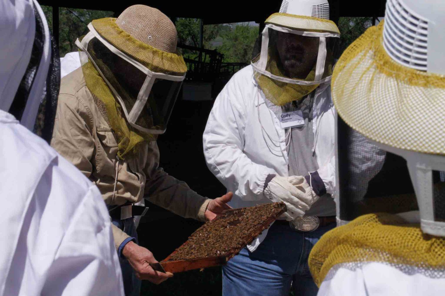 Taxes can be lowered by keeping bees – Post Register